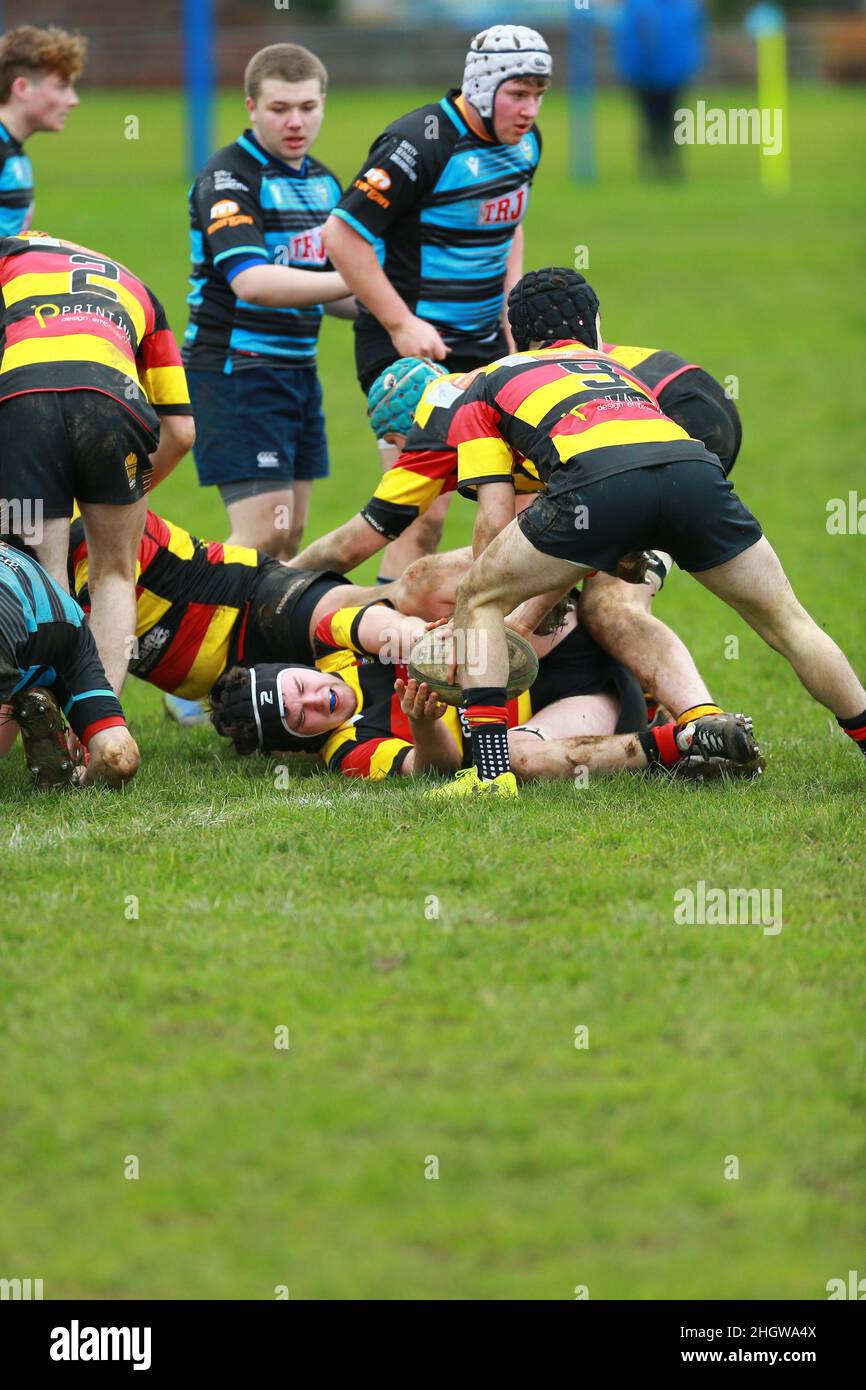 Ammanford rfc hi-res stock photography and images - Alamy