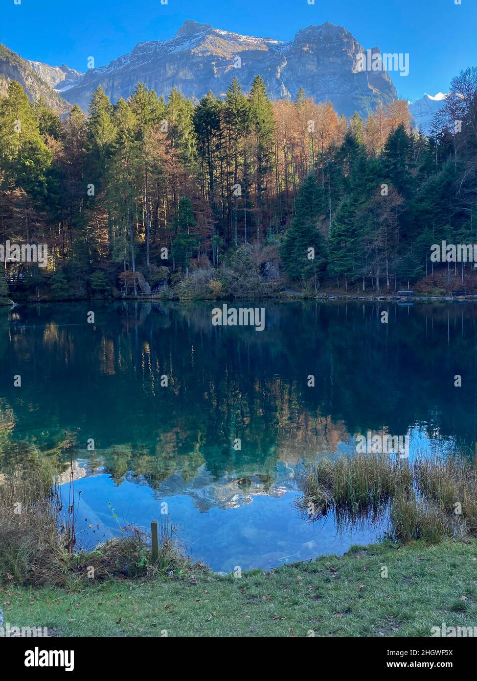 Landscape of the scenic Blausee Lake in Switzerland Stock Photo - Alamy