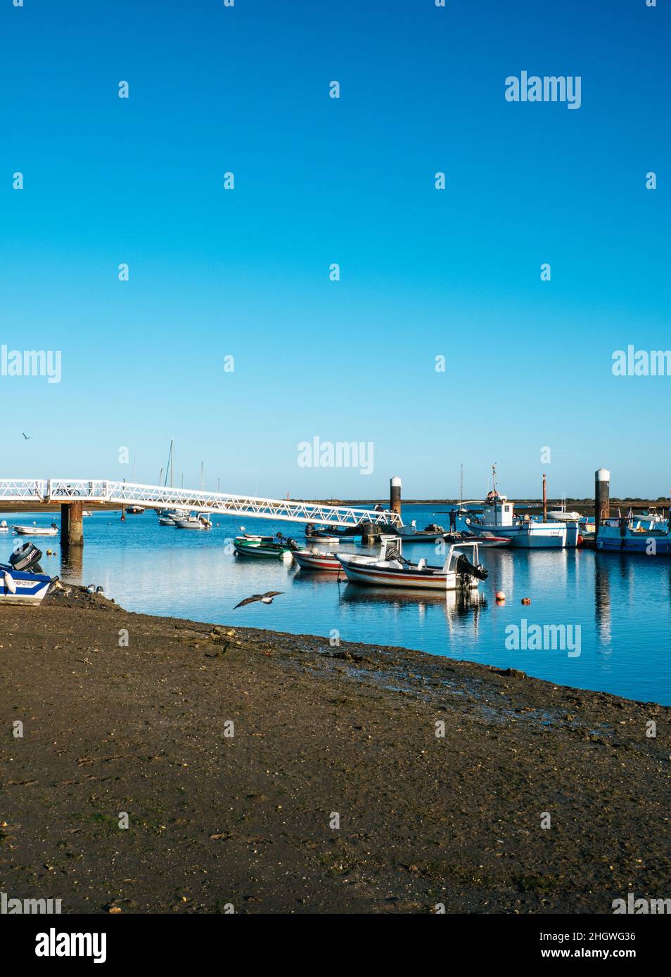 Fishing and Sail boats at Ria Formosa Lagoon in Tavira, Portugal Stock ...
