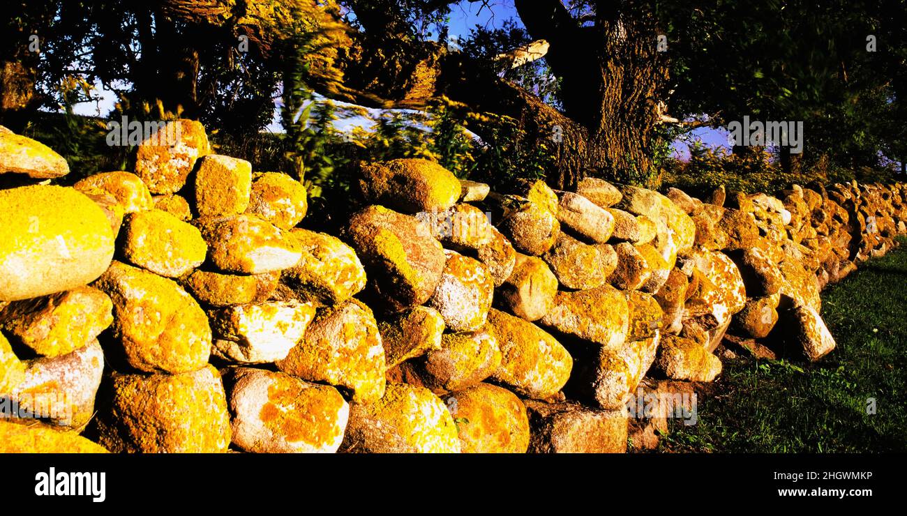 Block Island stone wall Stock Photo - Alamy