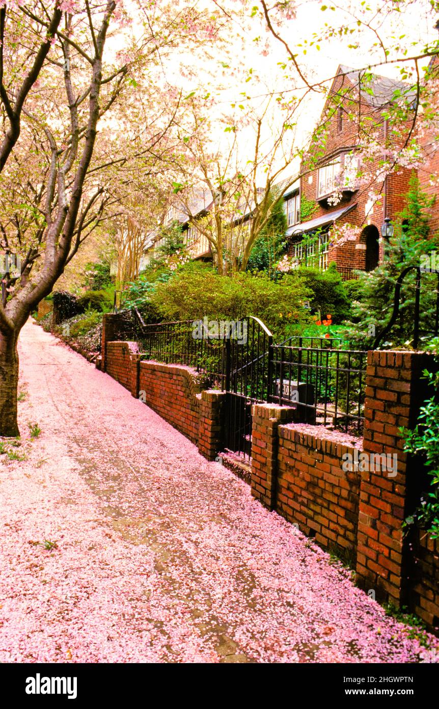 Vintage georgetown washington hi-res stock photography and images - Alamy