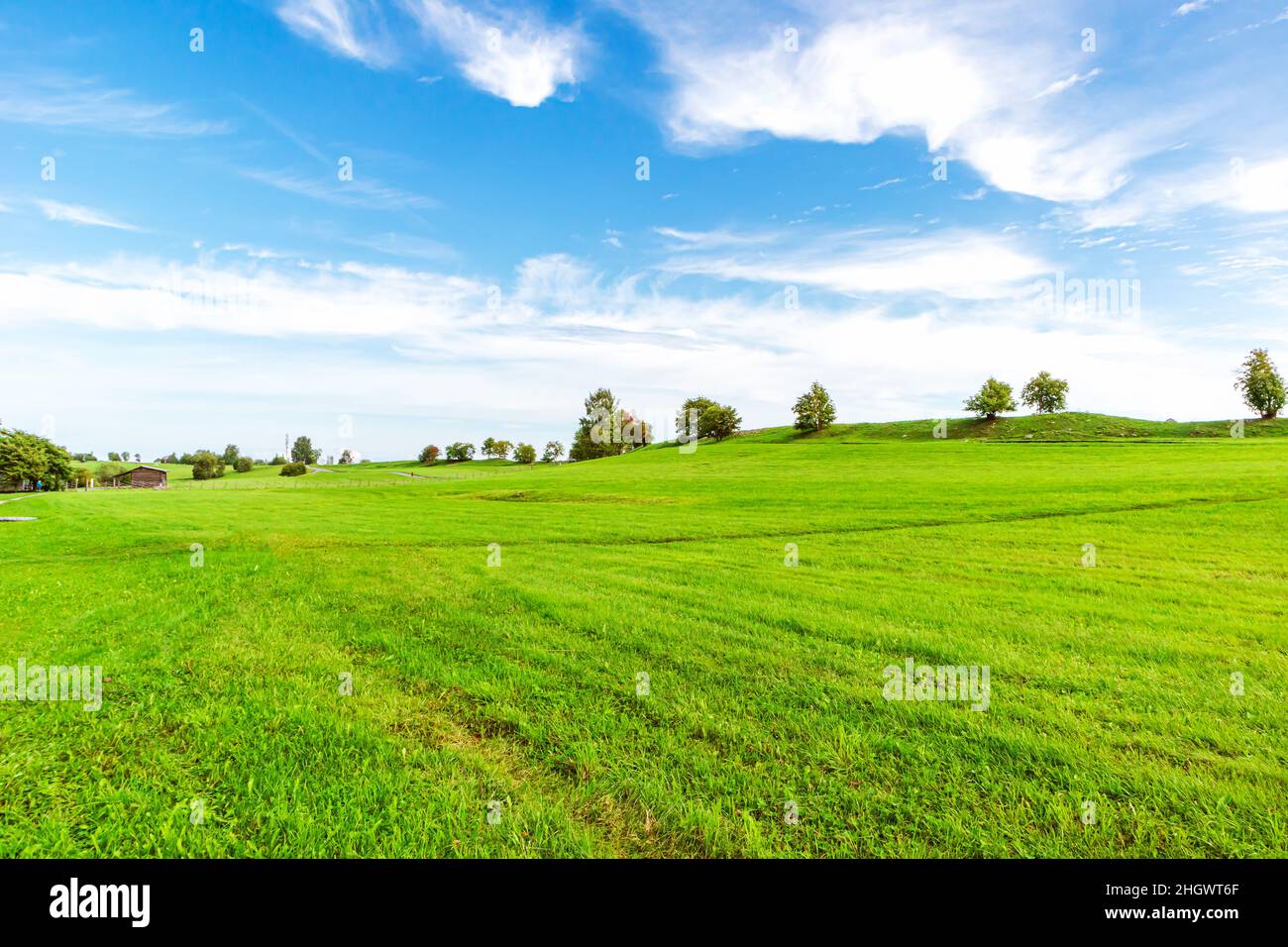 Green grass field and blue sky. Bright sunny summer day. Idyllic ...