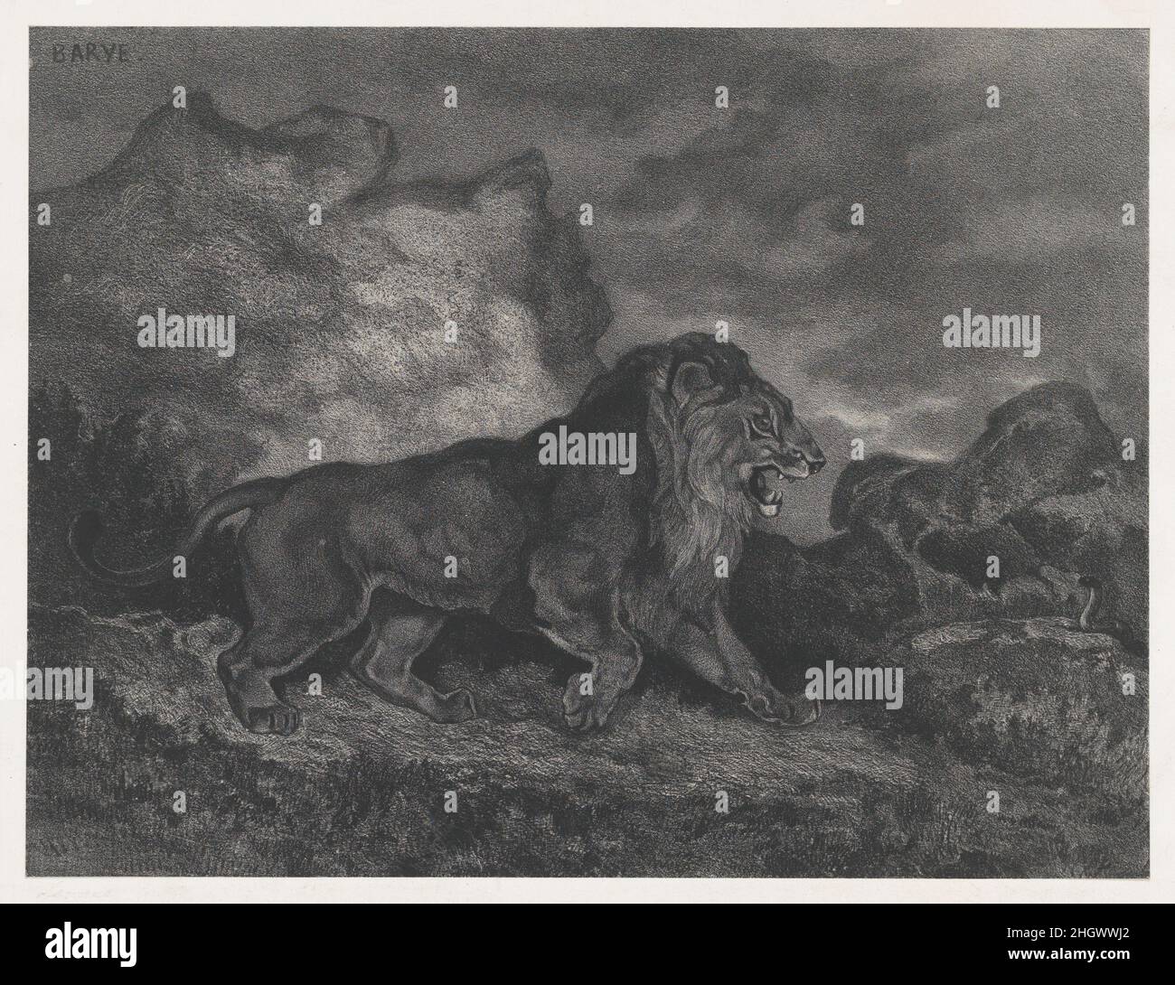 Lion and Serpent ca. 1868 Jules Laurens This lithograph is a ...