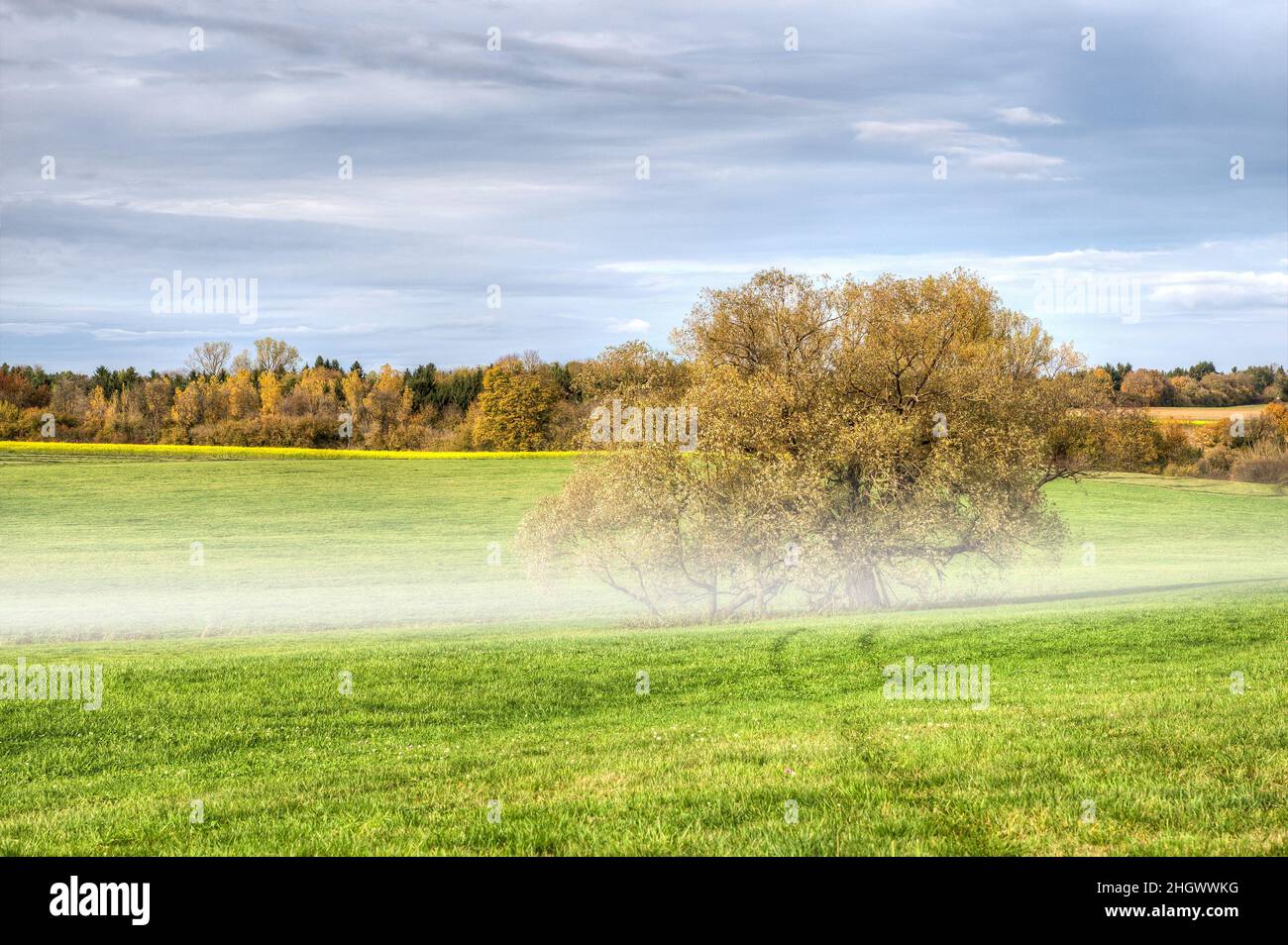A golden autumn day, the trees and shrubs are now wearing their ...