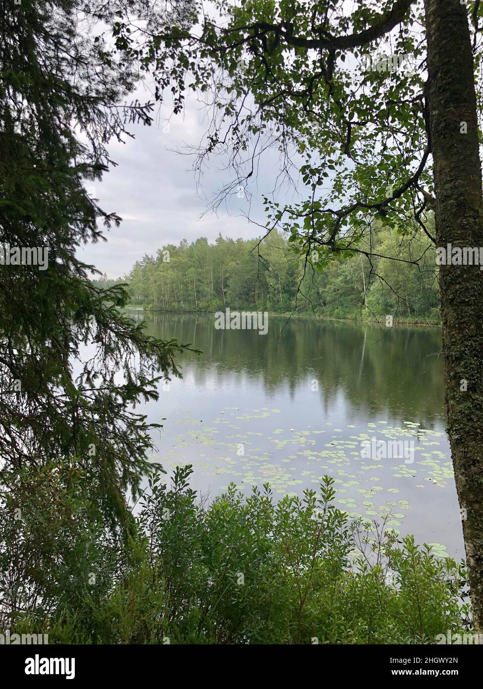 Landscape photo of lake and reflection of trees Stock Photo - Alamy