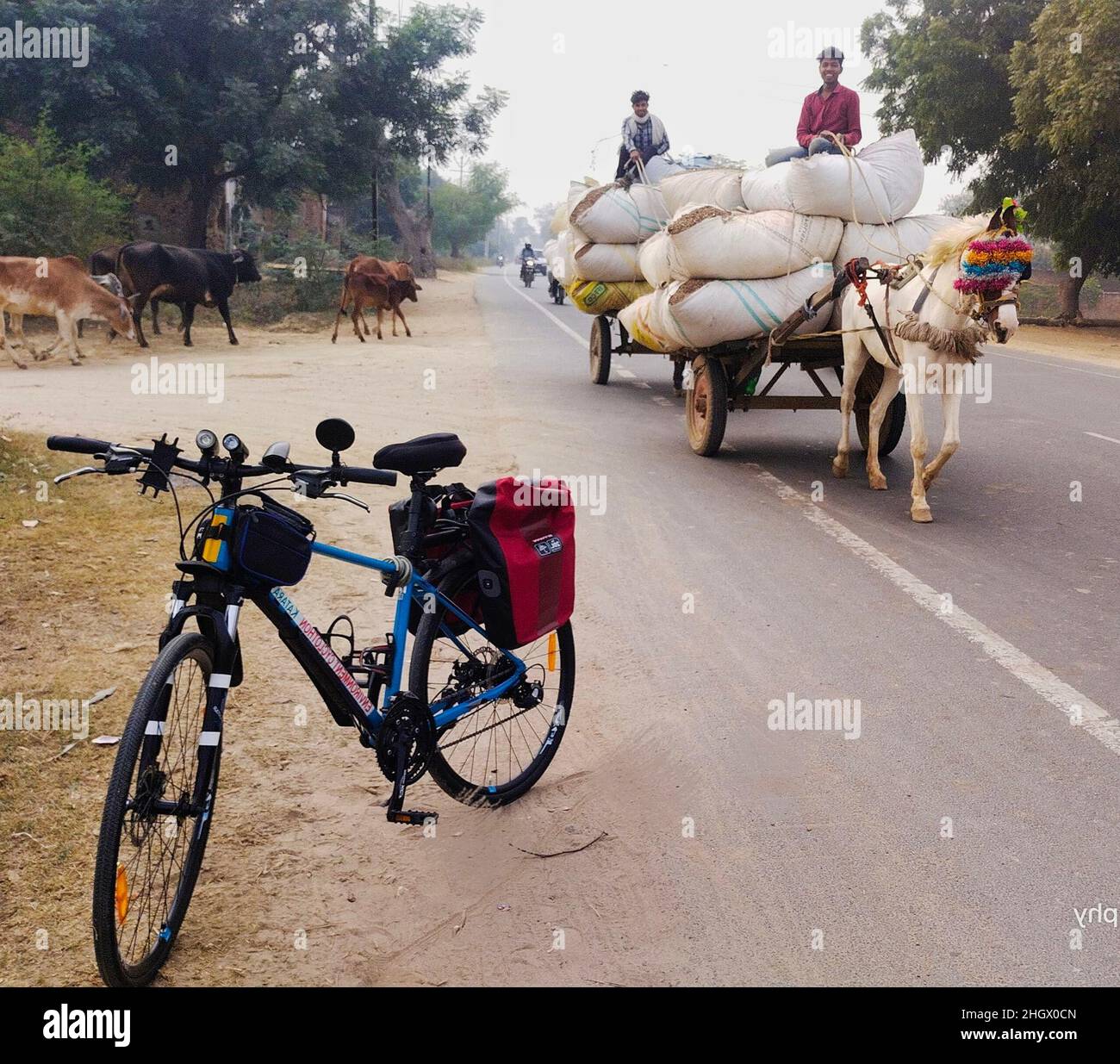 Calcutta, West Bengal, India. 21st Jan, 2022. Mr Promod Katara on cycle ...