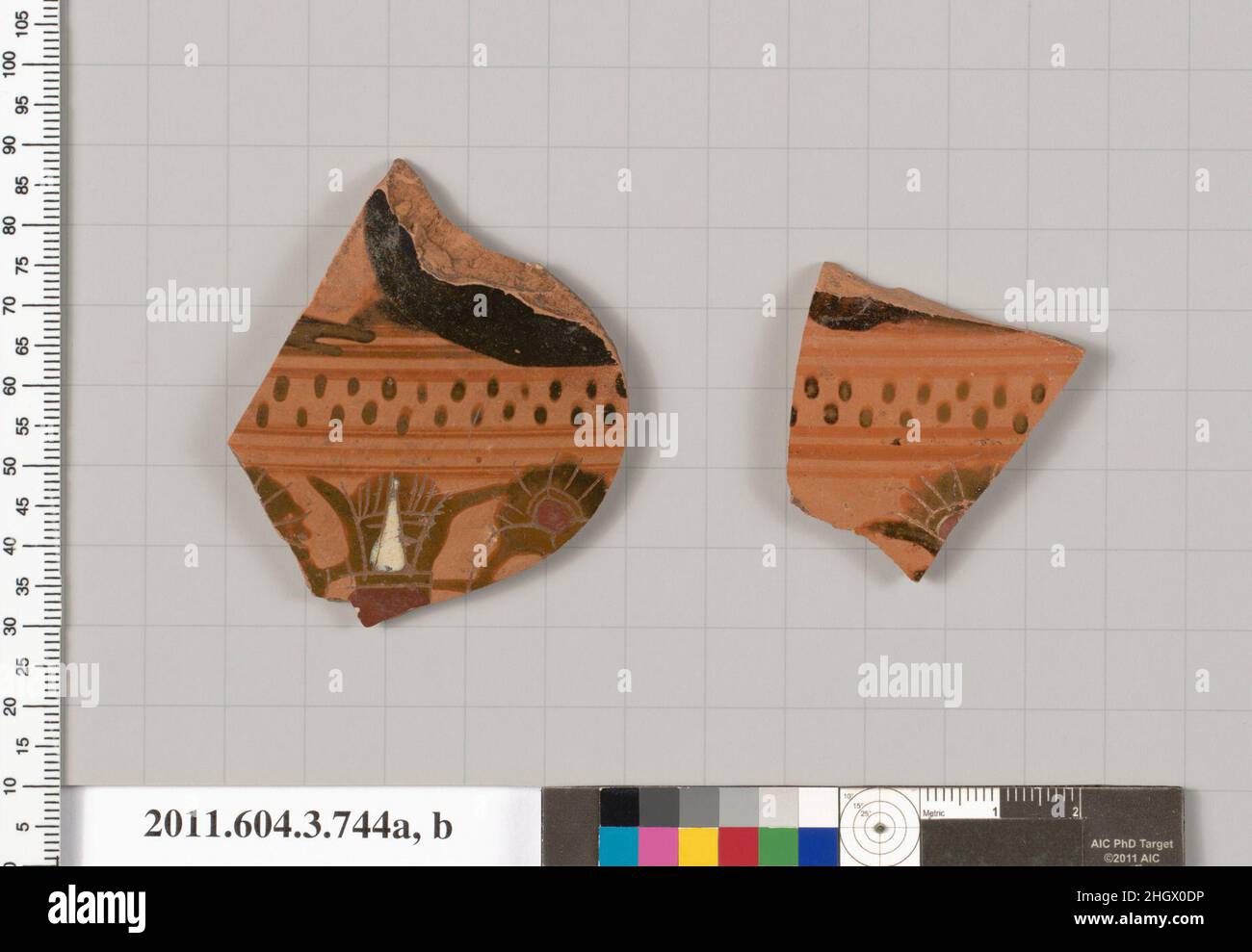 Lotus root patterns hi-res stock photography and images - Alamy