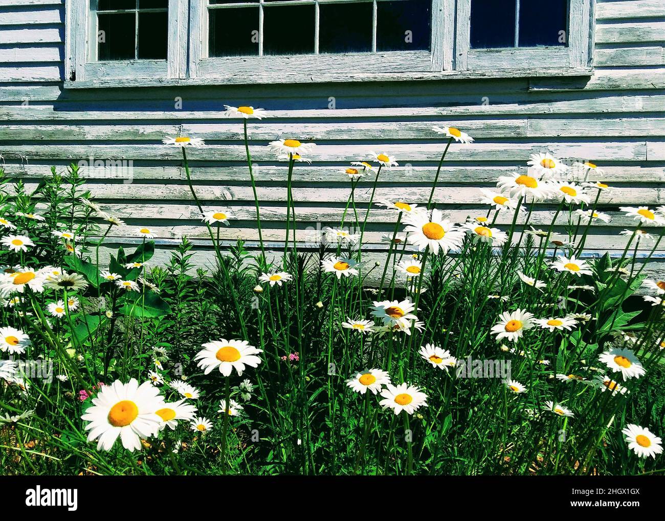 New england spring hi-res stock photography and images - Alamy