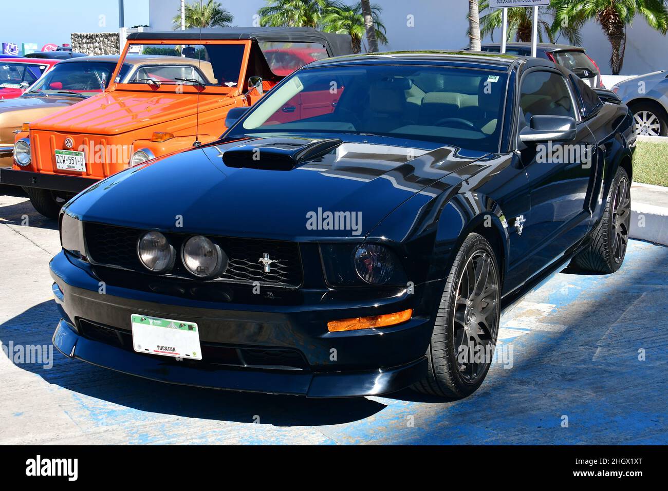 Ford Mustang GT car, Mexico, North America Stock Photo - Alamy