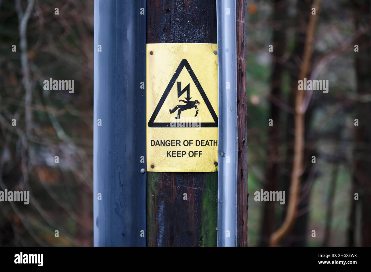 High voltage yellow danger sign in forest Stock Photo - Alamy