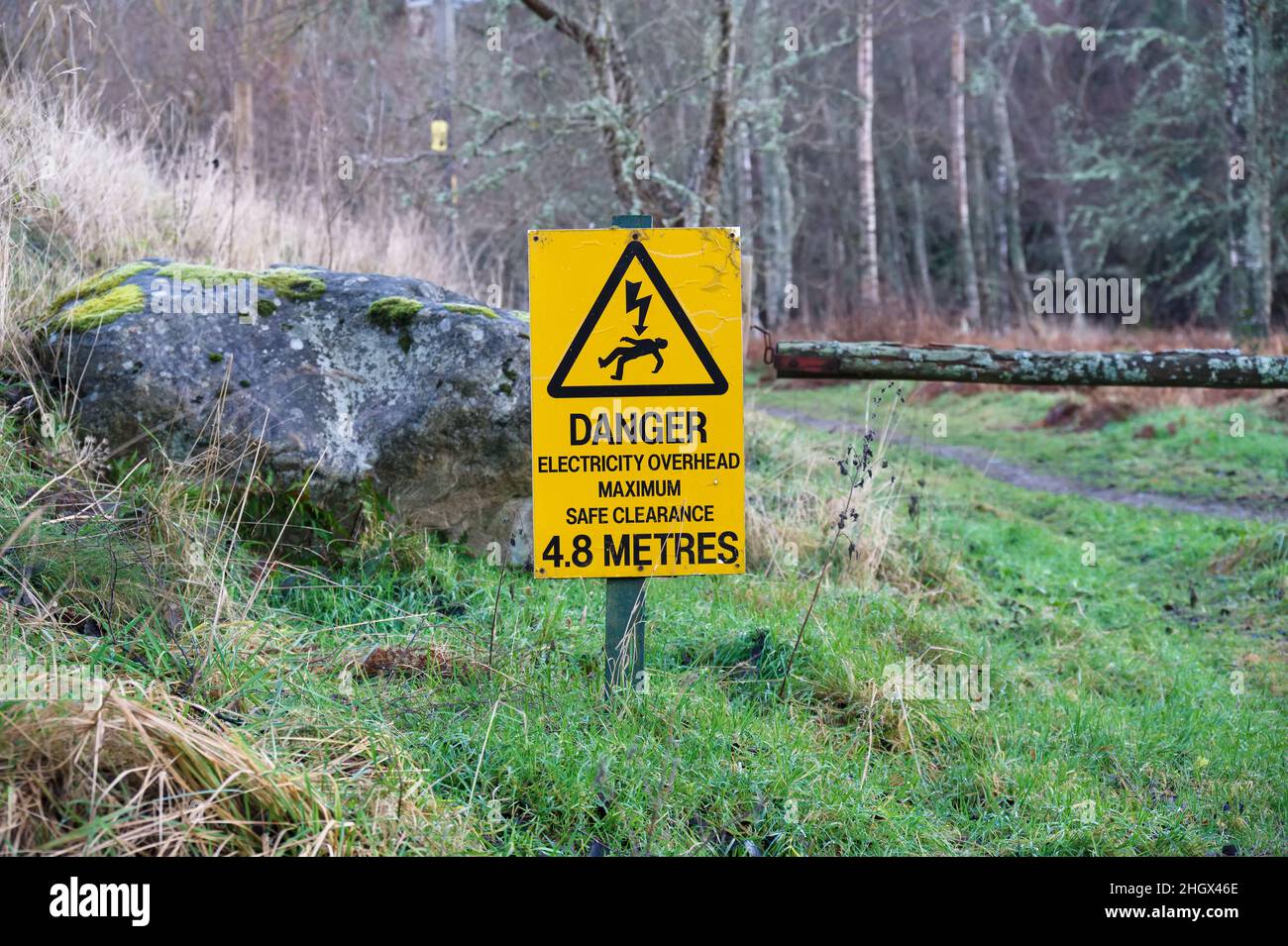 High voltage yellow danger sign in forest Stock Photo - Alamy