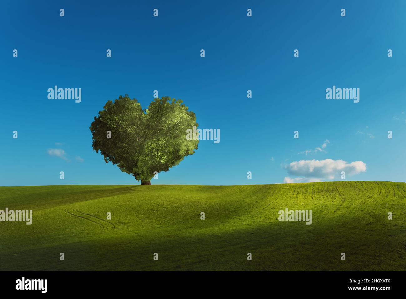 Meadow and sky background with a heart shaped tree at an agricultural ...