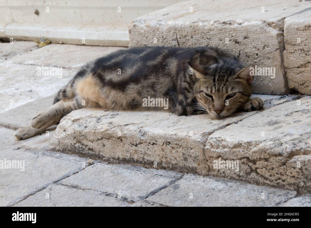 Old Akko, Israel Stock Photo - Alamy