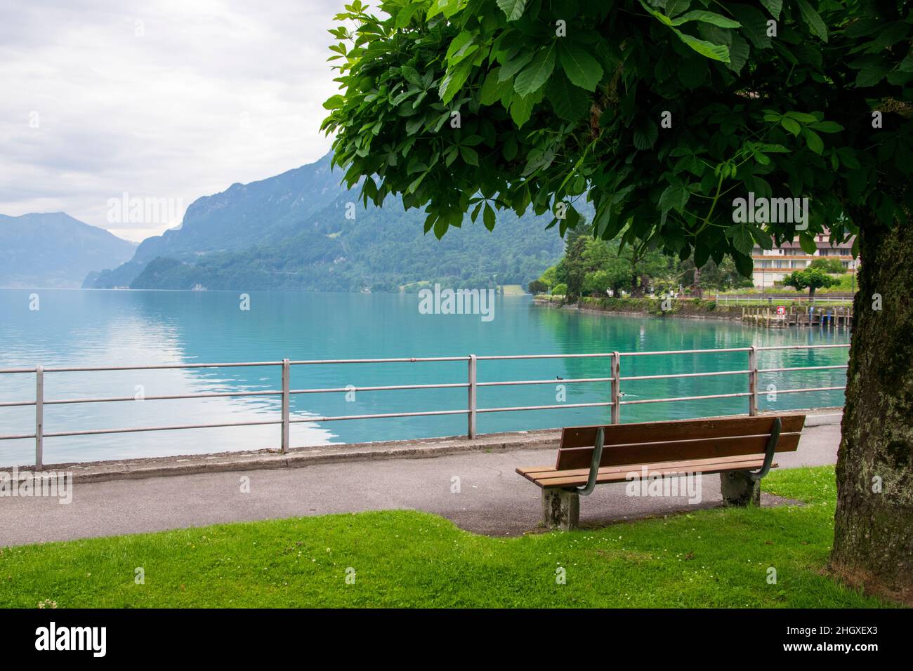 Wooden park bench with amazing lake view by Brienz Lake in Interlaken ...