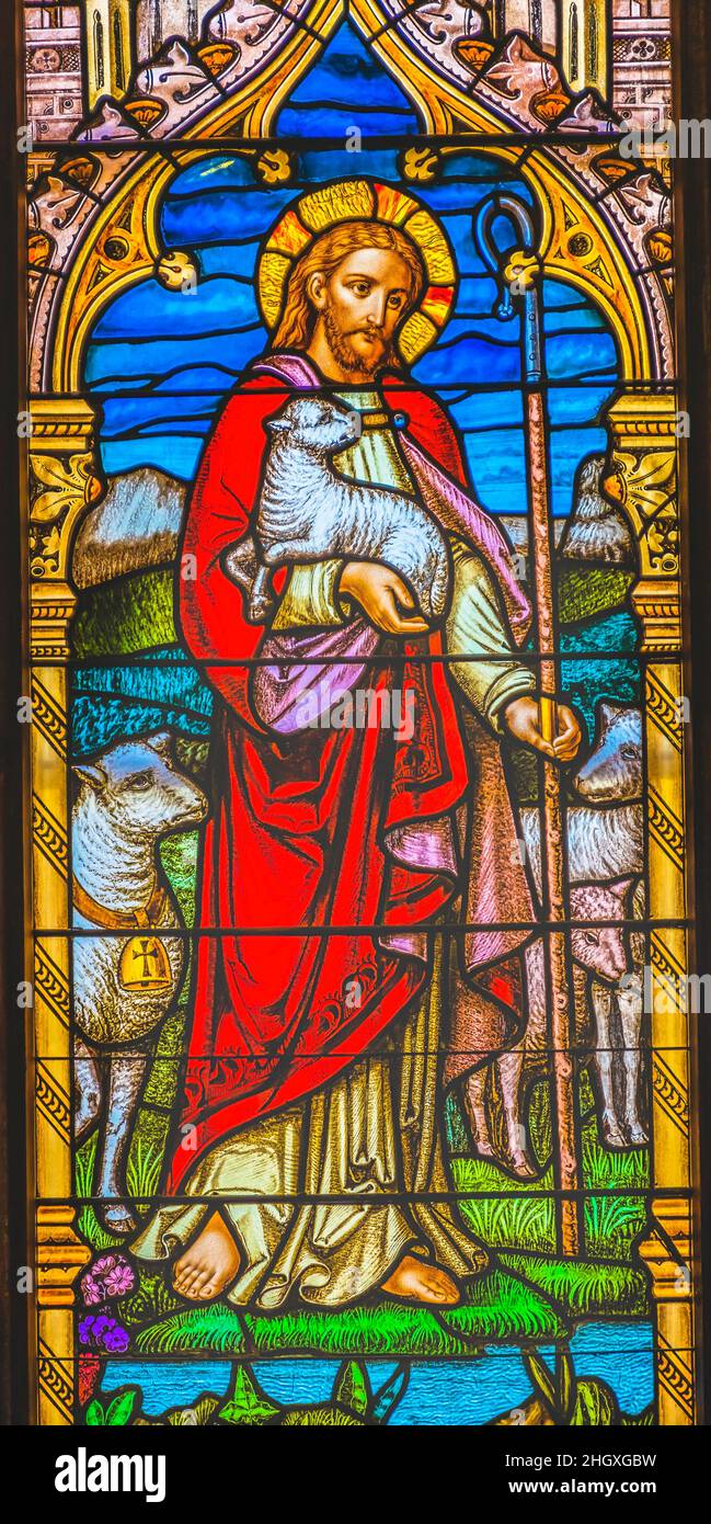 Jesus Christ Lambs Feed My Flock Stained Glass Trinity Episcopal Parish ...