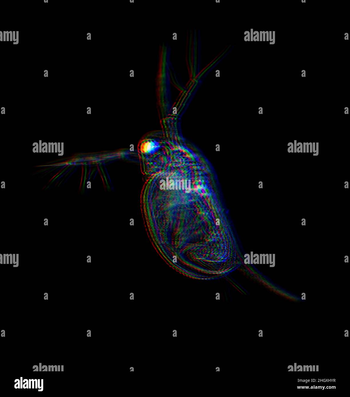 Rgb shift effect hi-res stock photography and images - Alamy