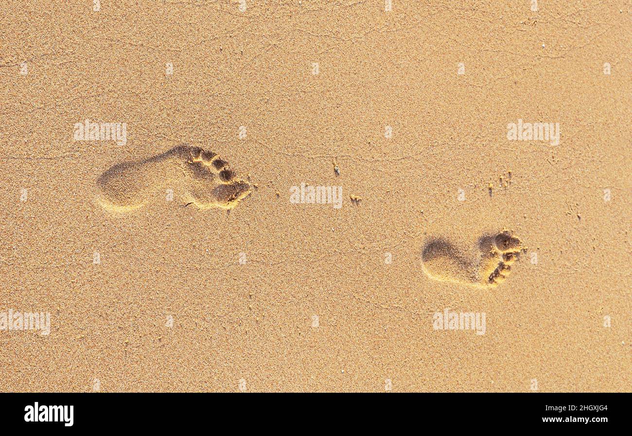 Footprints of one human on sand beach Stock Photo - Alamy