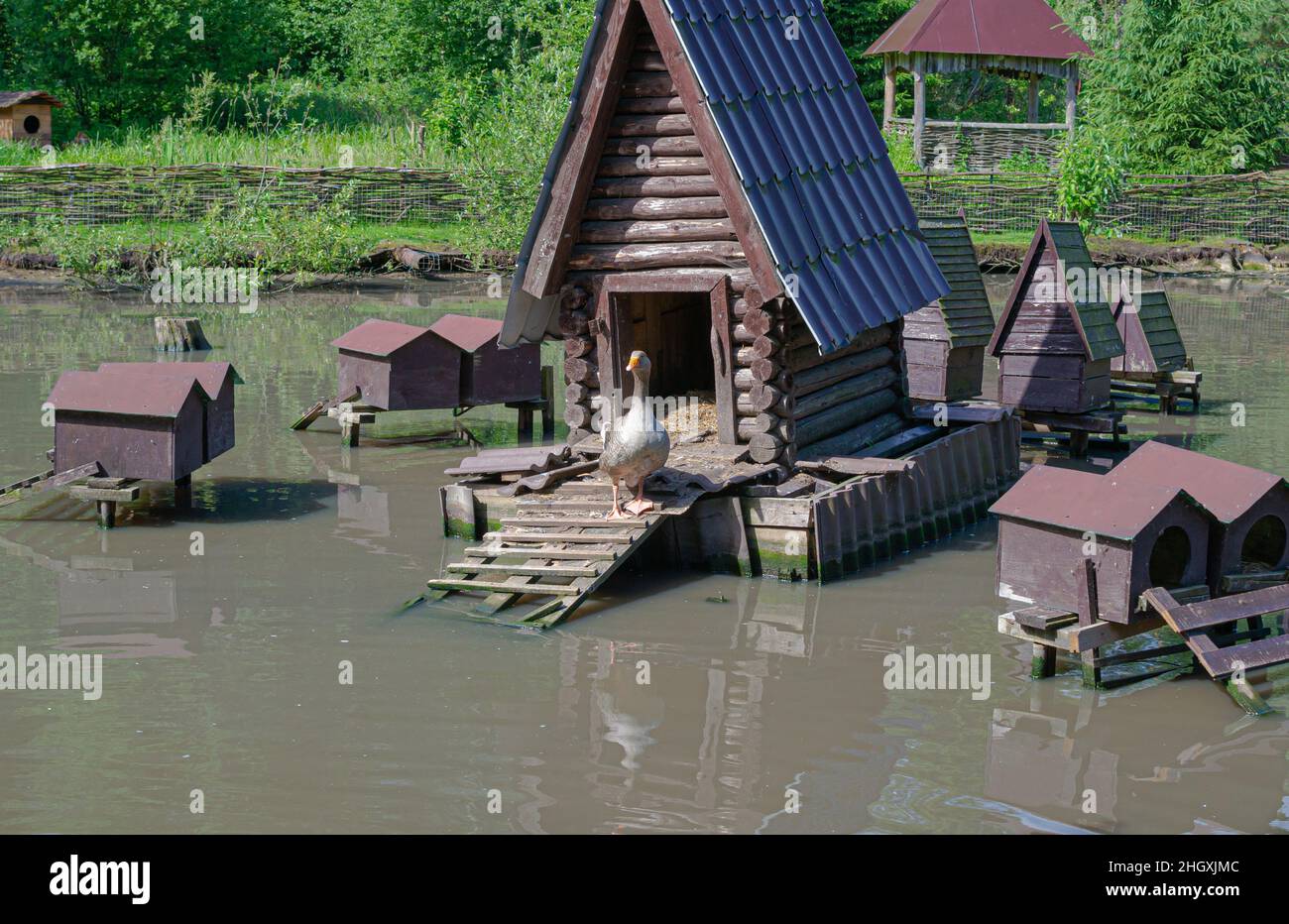 Goose wing building hi-res stock photography and images - Alamy