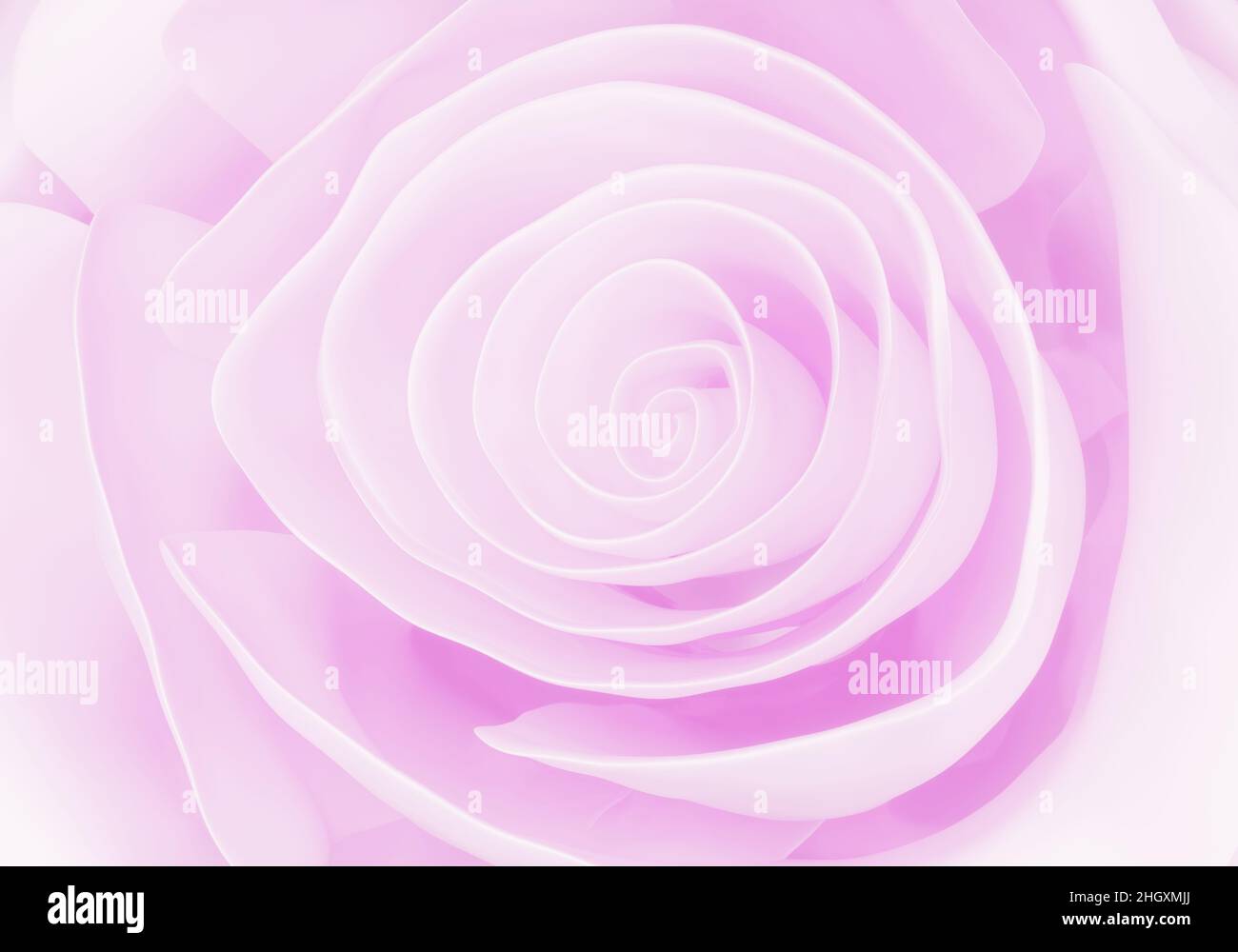 Elegant light pink rose background, 3d rendered Stock Photo - Alamy