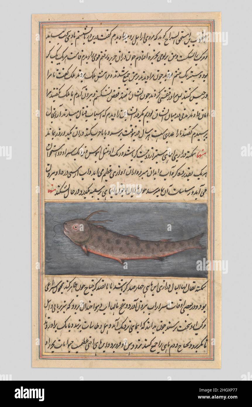 Fish Illustration from a Cosmological Manuscript 18th century. Fish ...