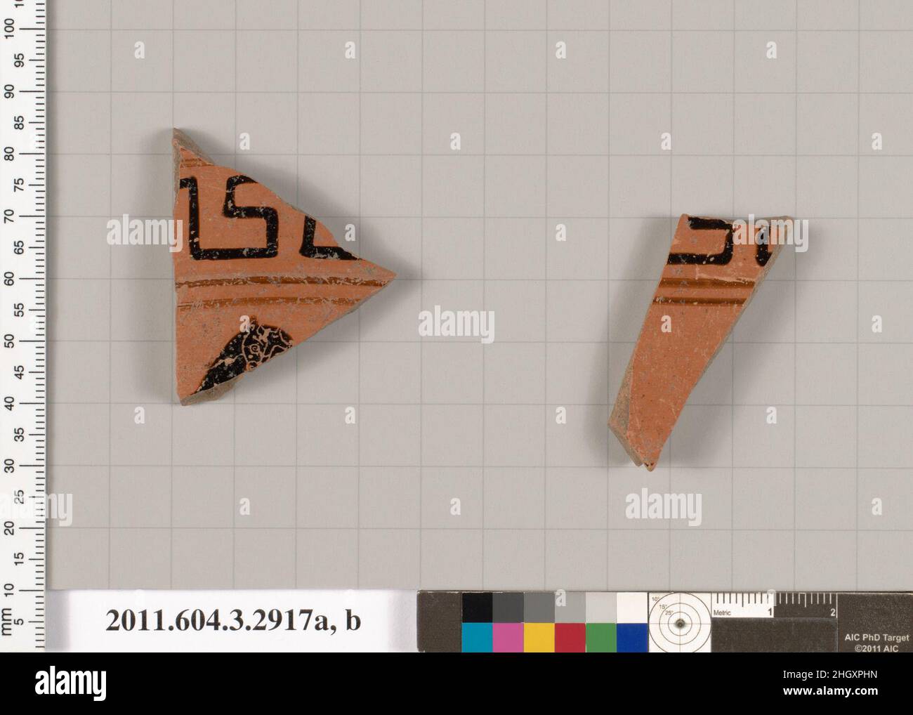 Meander neck hi-res stock photography and images - Alamy