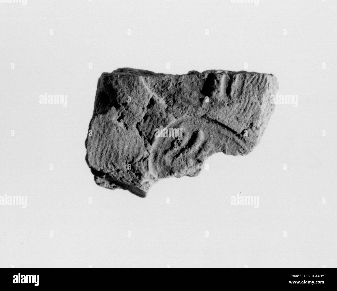 Documentary archaeology record Black and White Stock Photos & Images ...