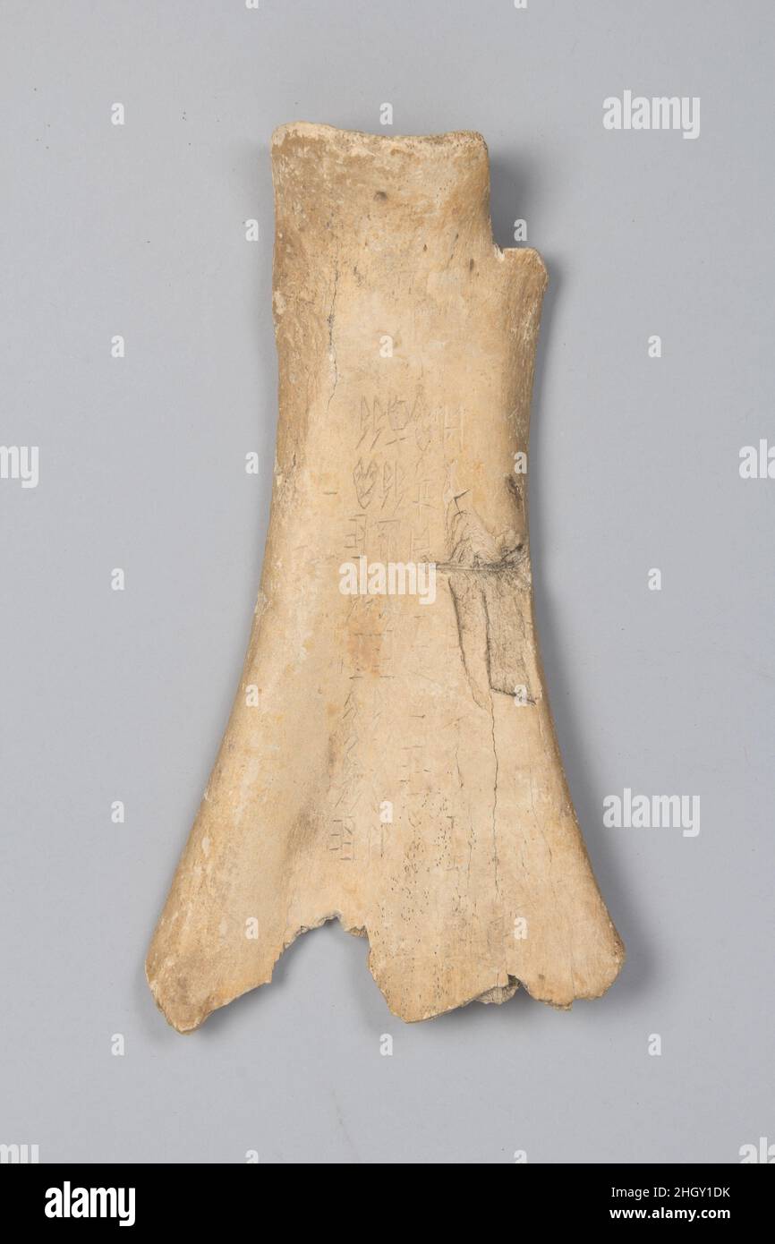 Shang dynasty inscribed oracle bone hi-res stock photography and images ...
