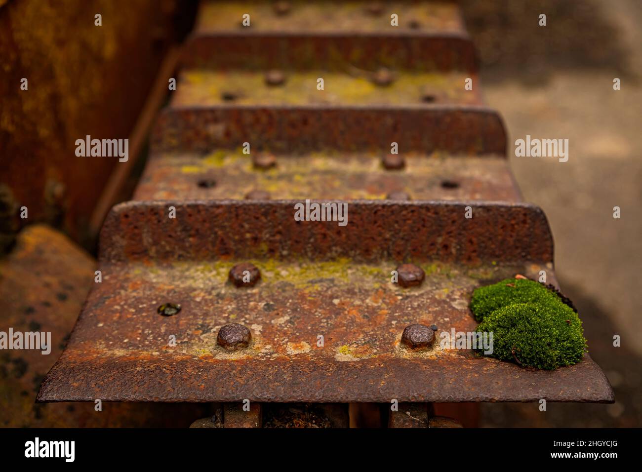 Old rusty tread of abandoned heavy equipment, a tractor, with moss on ...