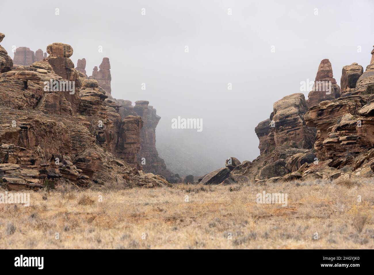 Thick Clouds Fill The Cyclone Canyon Pathway in Canyonlands National ...