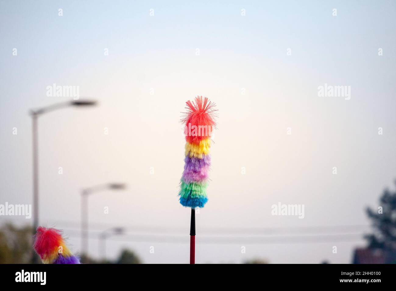 Rainbow feather duster hi-res stock photography and images - Alamy