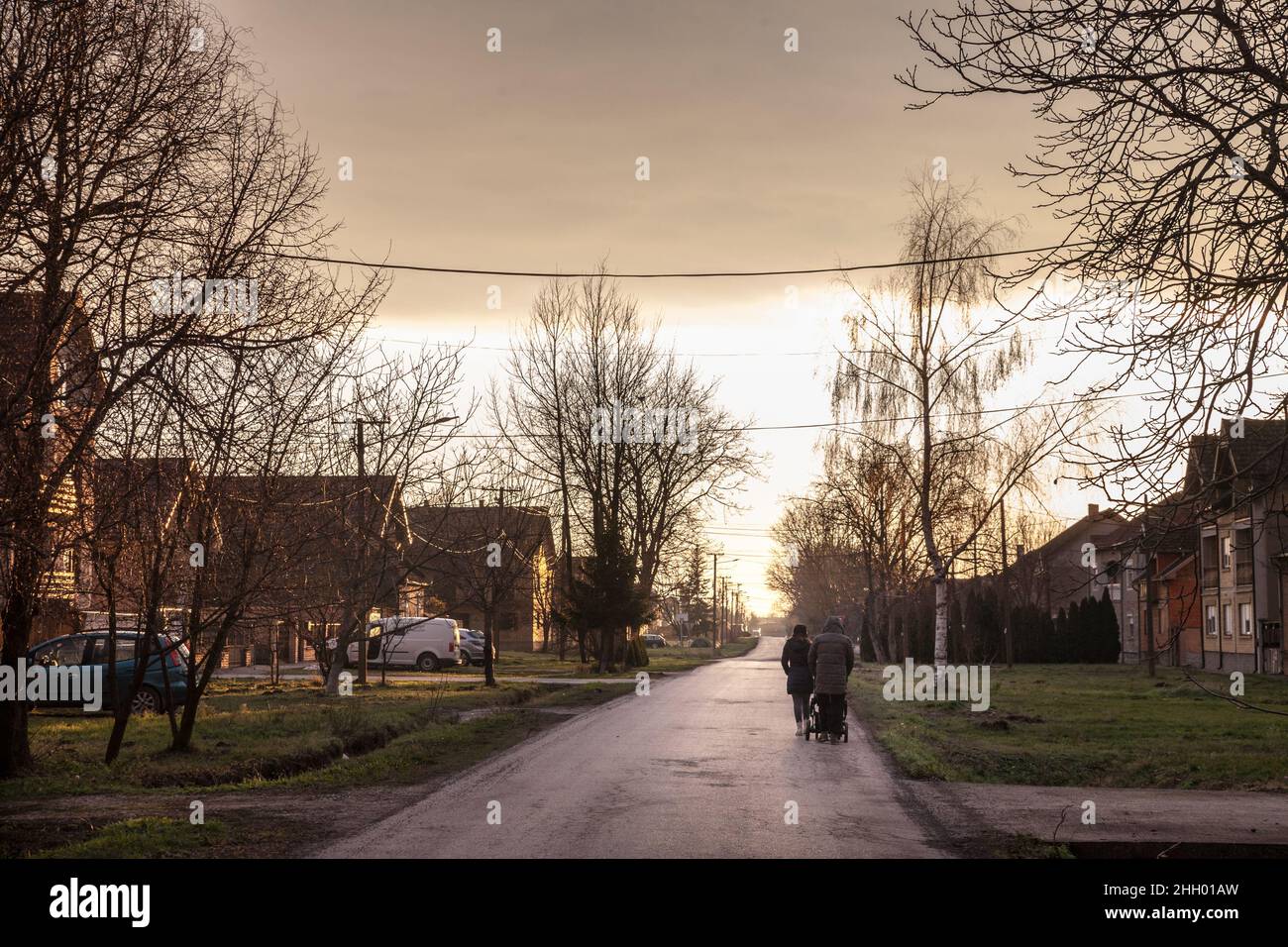 Picture of a typical rural village street of Banatsko Novo Selo, in ...