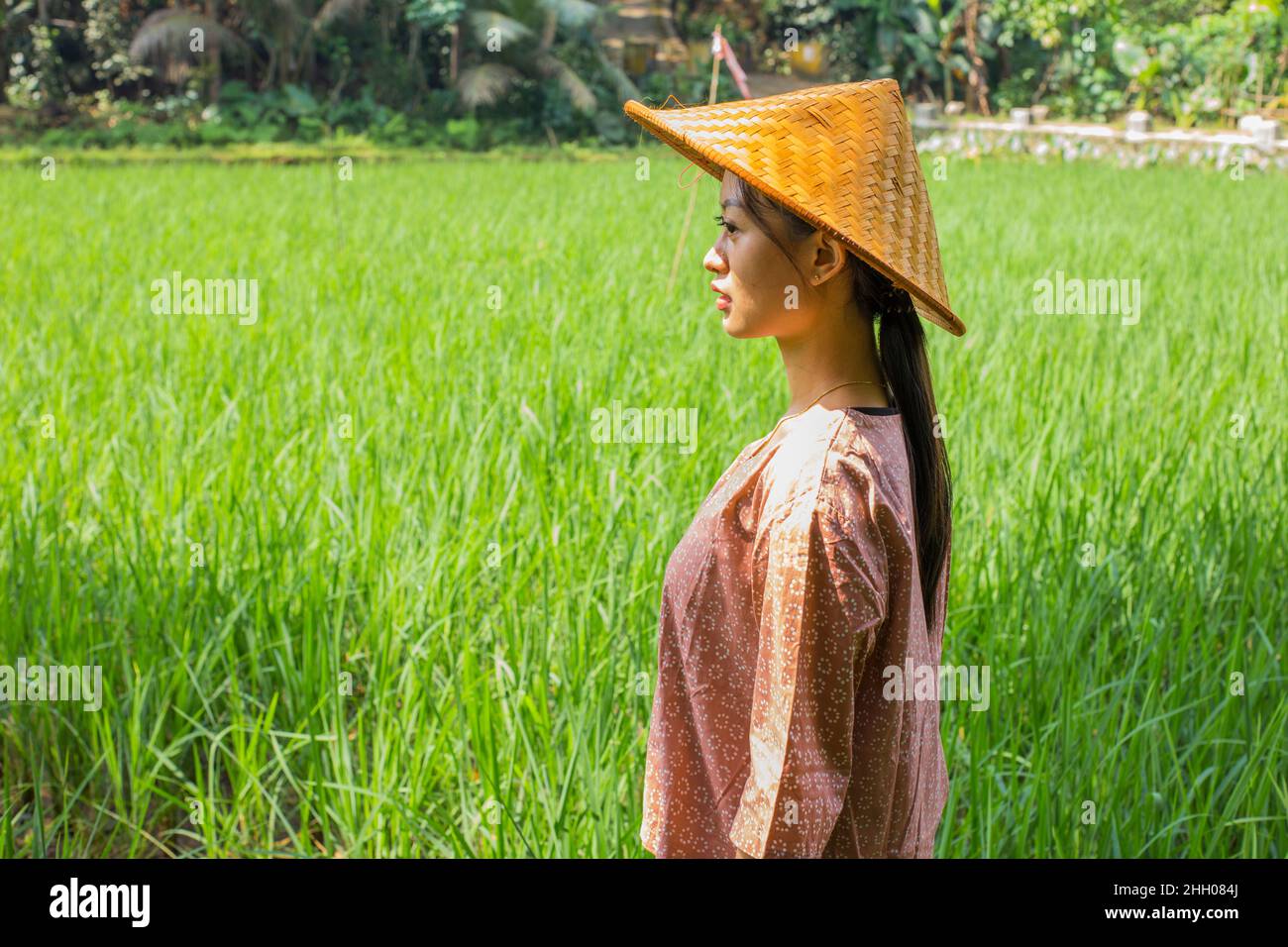 portrait young asian female farmer in rice field Stock Photo - Alamy