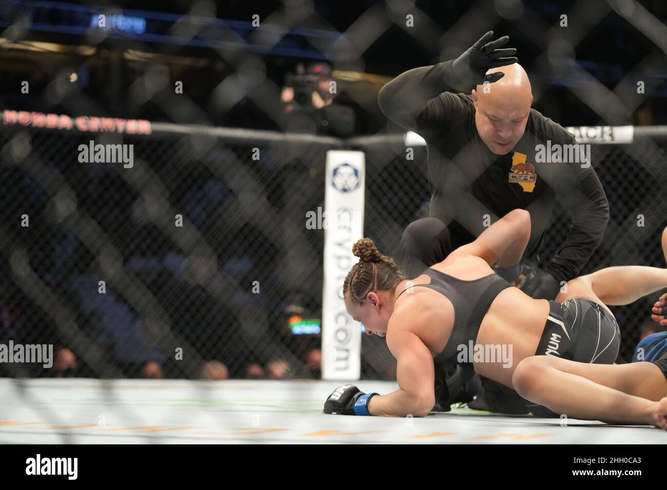 ANAHEIM, CA - JANUARY 22: Vanessa Demopoulos (top) submits Silvana ...