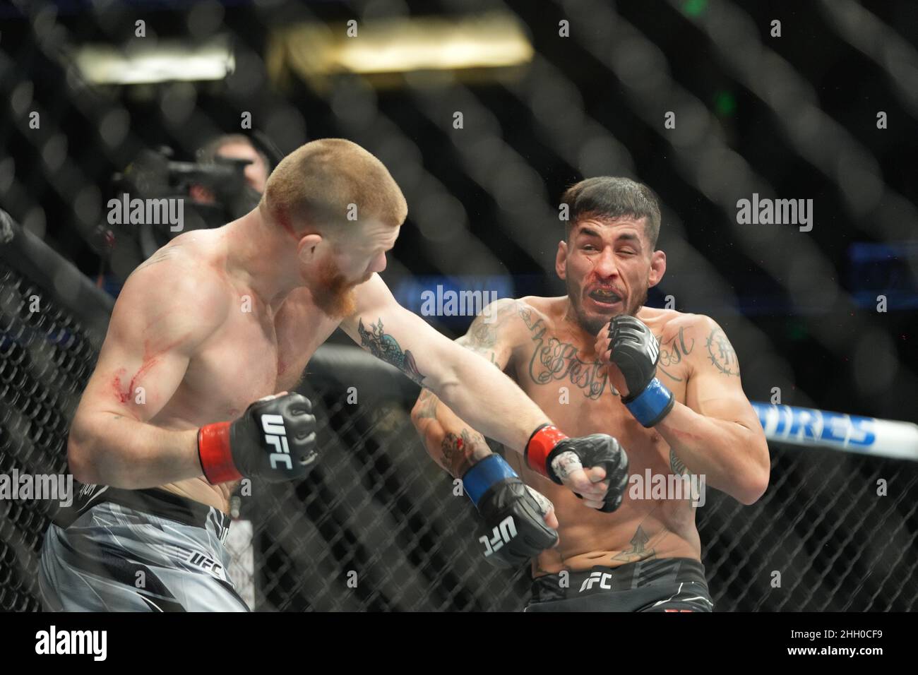 Matt frevola hi-res stock photography and images - Alamy