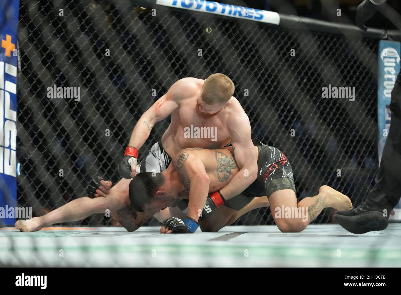 Matt Frevola High Resolution Stock Photography and Images - Alamy