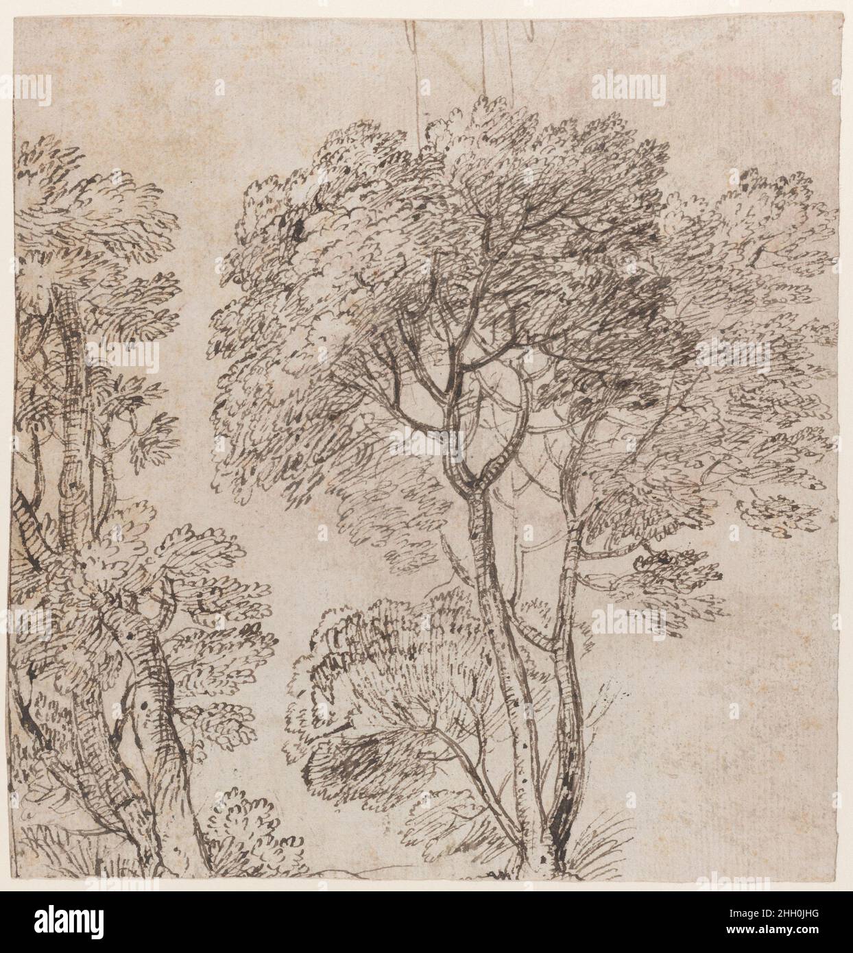 Study of a Group of Trees ca. 1625–50 Circle of Nicolas Poussin French ...