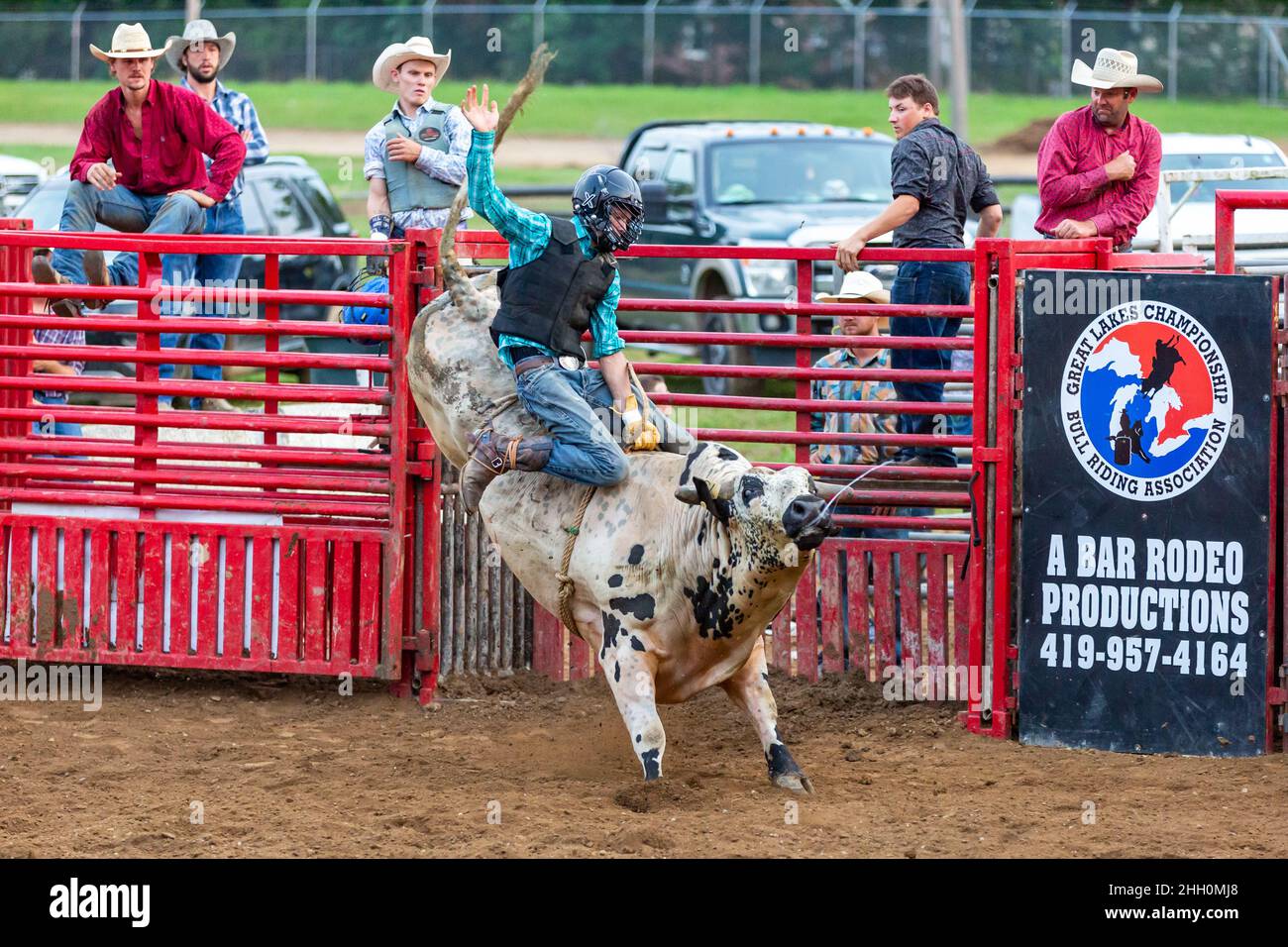 Bull snot hi-res stock photography and images - Alamy