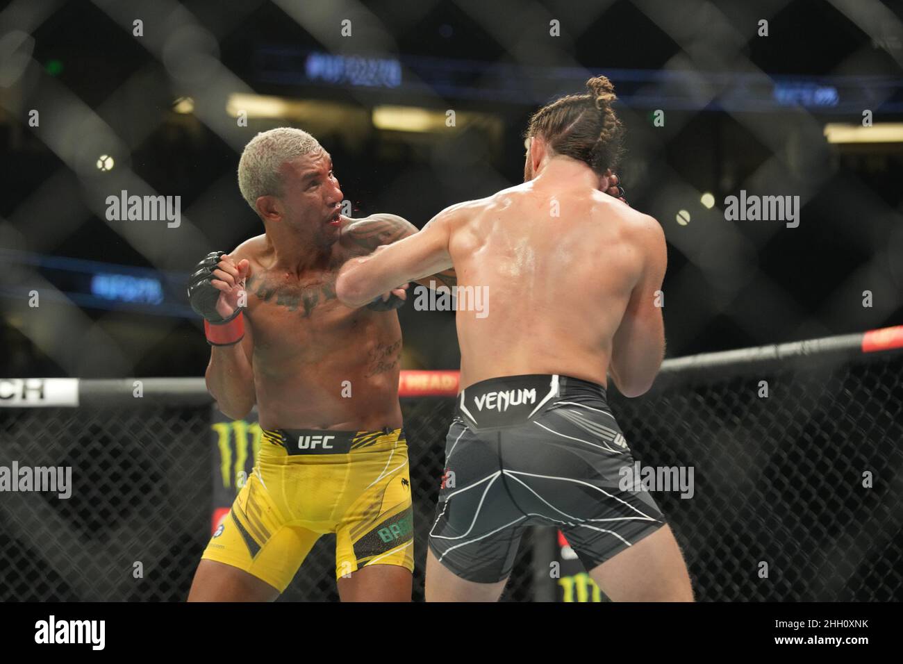 ANAHEIM, CA - JANUARY 22: (R-L) Victor Henry punches Raoni Barcelos in ...