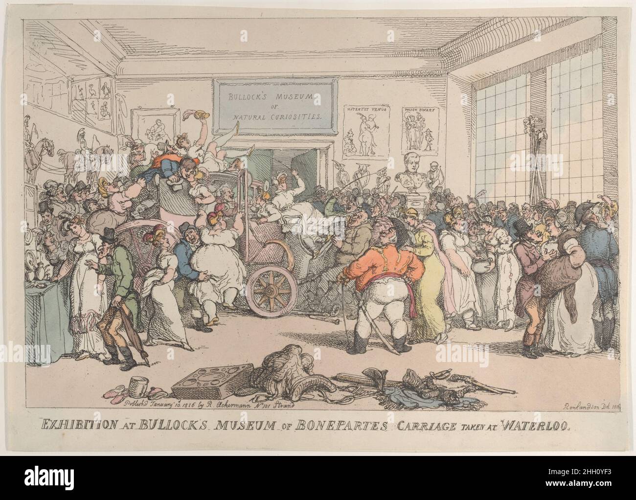 Hottentot venus hi-res stock photography and images - Alamy