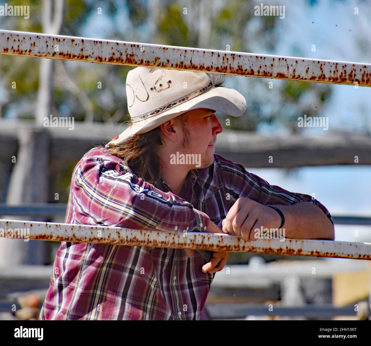 Australian cowboys hi-res stock photography and images - Alamy