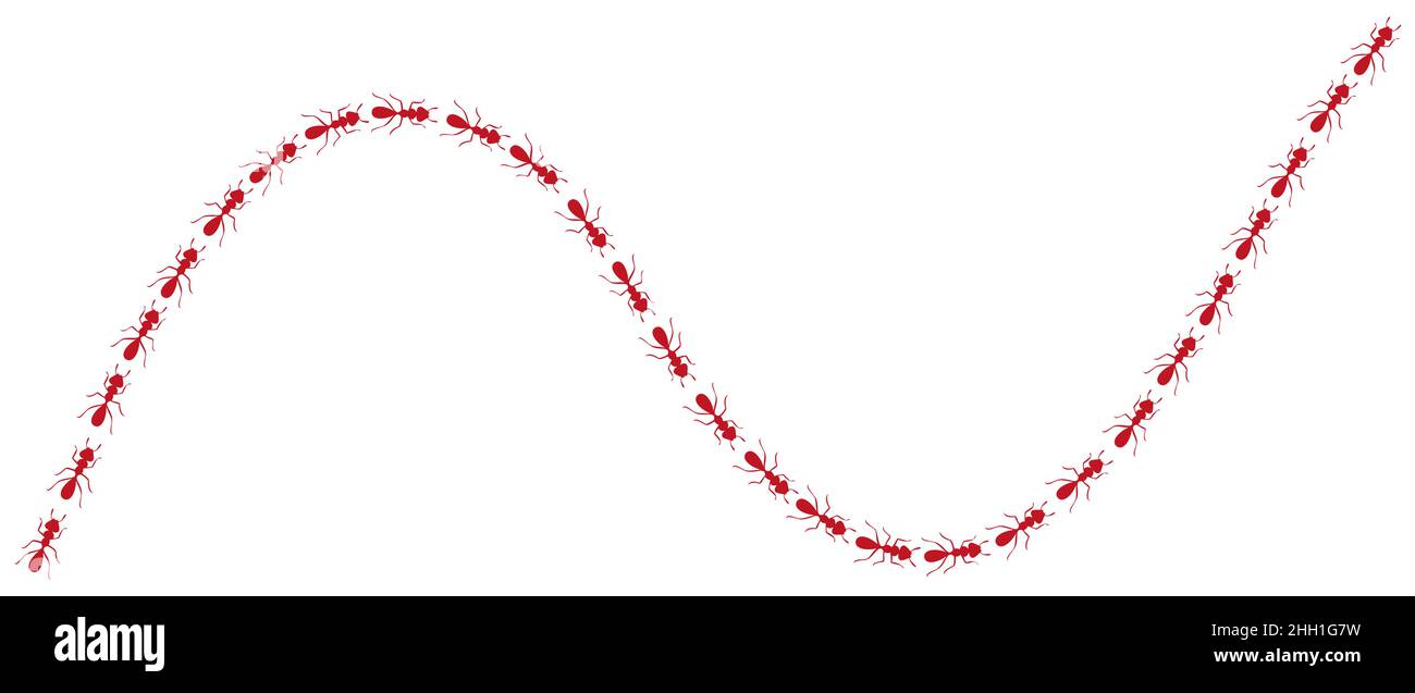 Worker ants trail curve. Red ant path isolated in white background. Vector illustration Stock ...