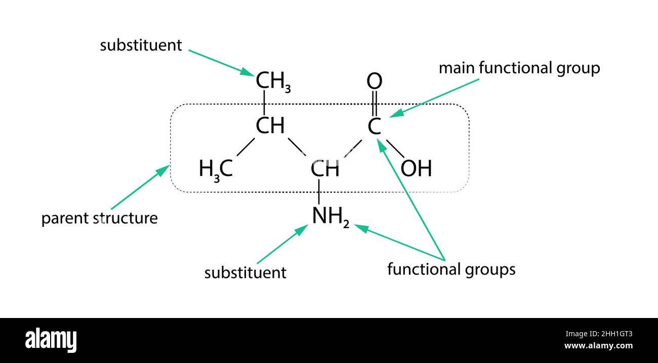 Caffeine Functional Groups Labeled