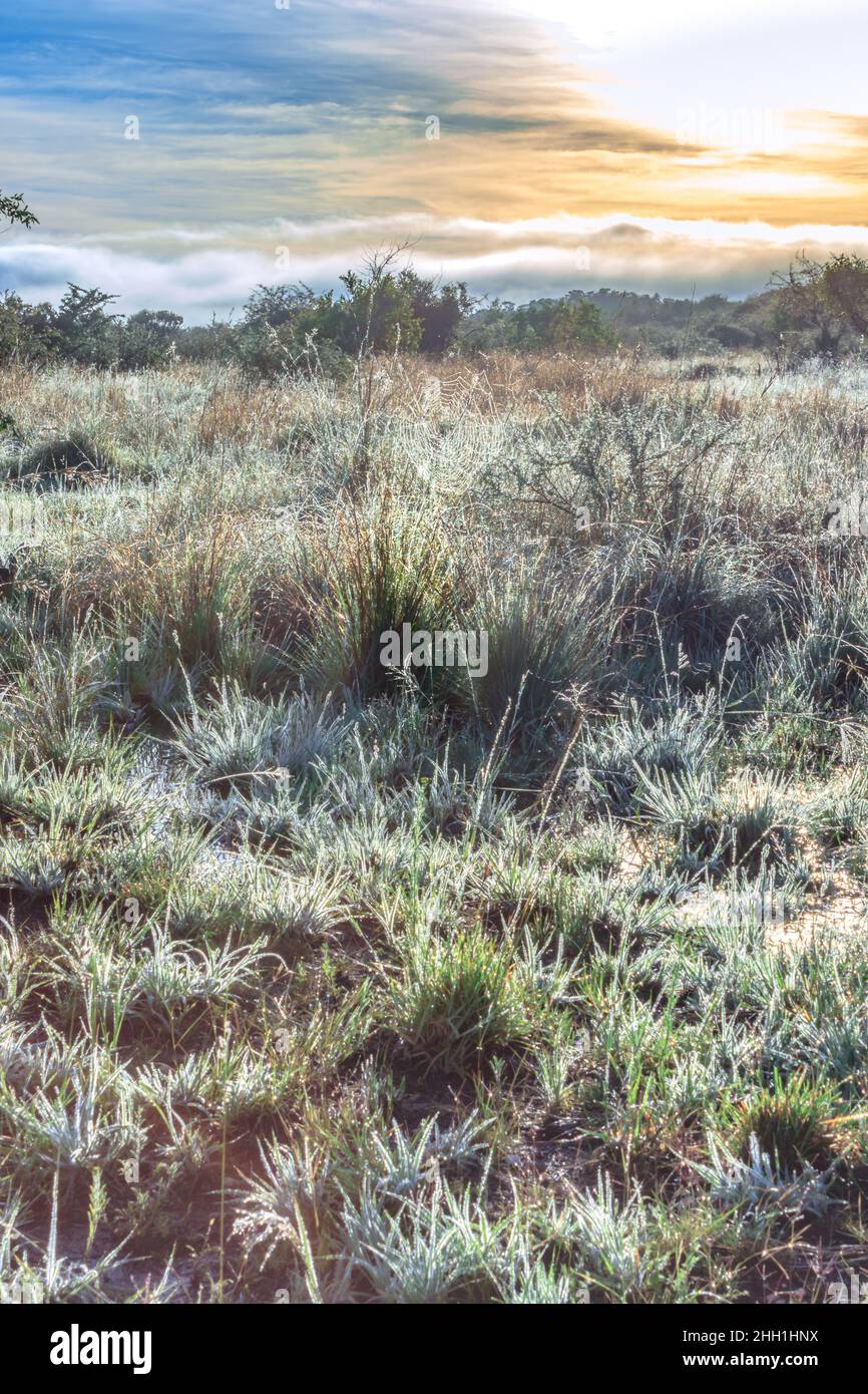 A wet Landscape view of mountains, brown and green savanna grassland ...