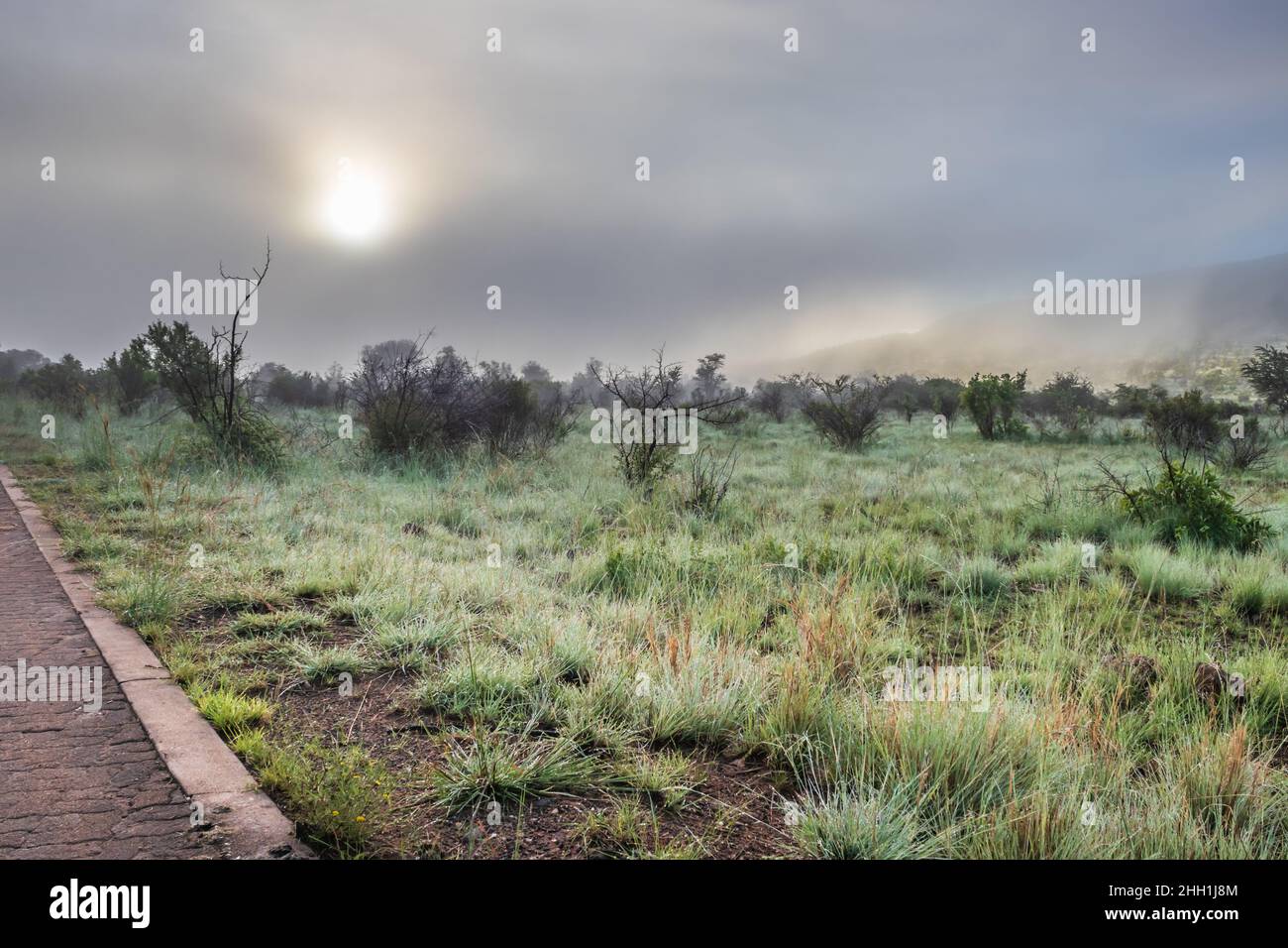 A wet Landscape view of mountains, brown and green savanna grassland ...