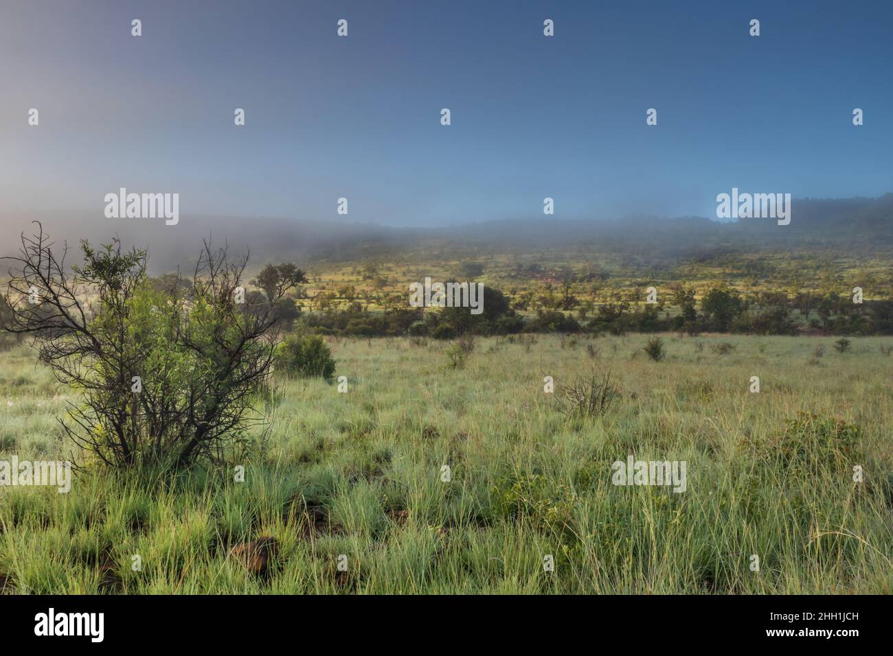 A wet Landscape view of mountains, brown and green savanna grassland ...