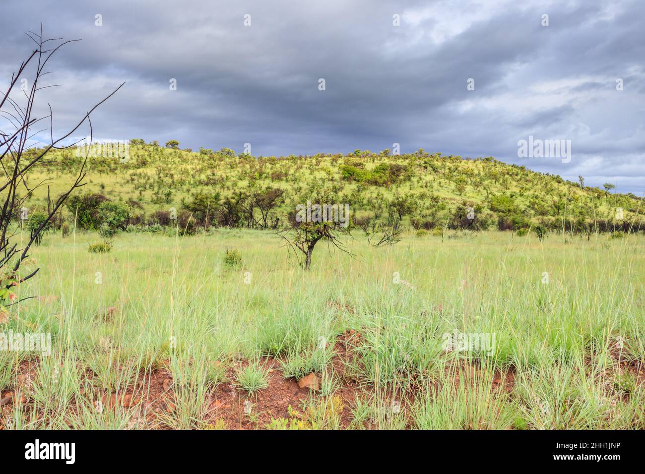 A wet Landscape view of mountains, brown and green savanna grassland ...
