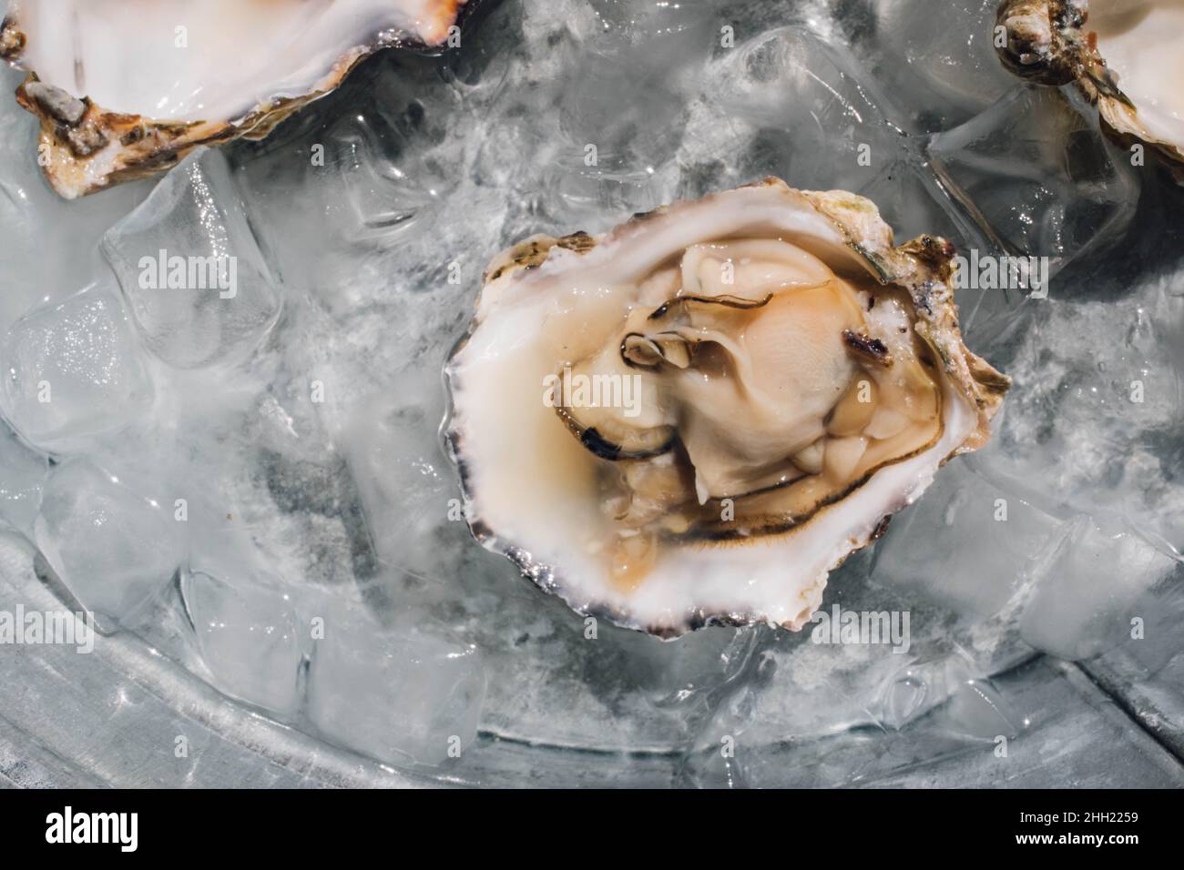 oyster shells on ice at outdoor restaurant in sun Stock Photo - Alamy