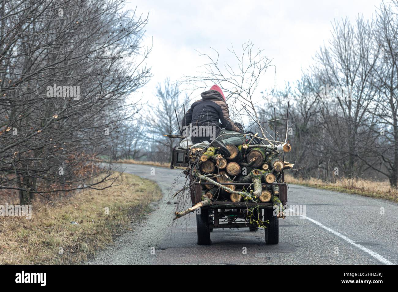 Cart with tree logs, rural landscape, back view Stock Photo - Alamy