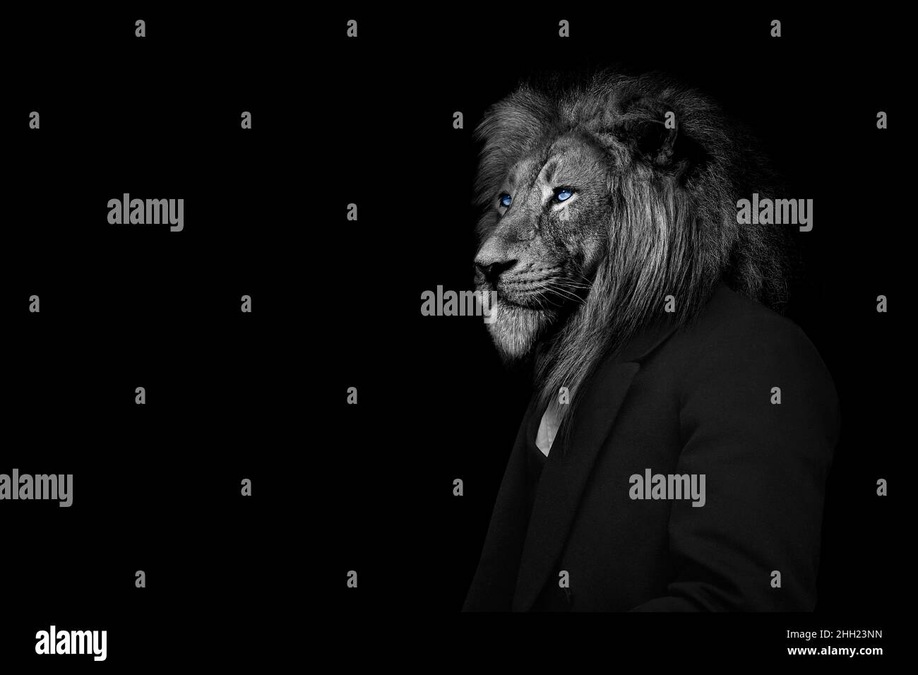 Man in the form of a Lion , The lion person , animal face isolated ...