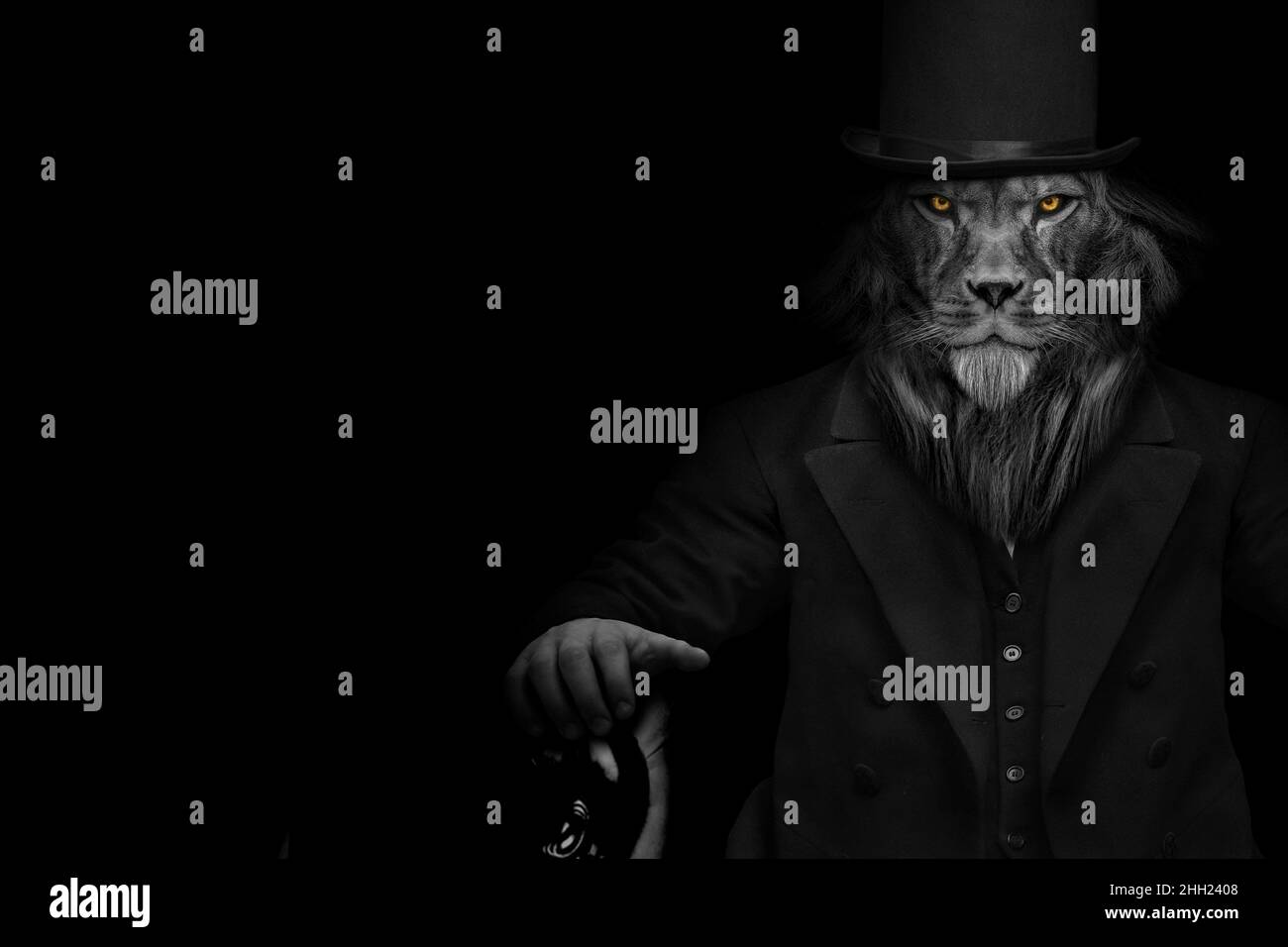 Man in the form of a Lion , The lion person , animal face isolated ...